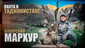 ОХОТА В ТАДЖИКИСТАНЕ |2022| БУХАРСКИЙ МАРХУР | БУХАРСКИЙ УРИАЛ | ОХОТА С ДЕНИСОМ МОРОЗОВЫМ