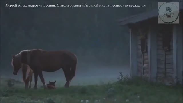 Аудио стихи ТЫ ЗАПОЙ МНЕ ТУ ПЕСНЮ Сергей Александрович Есенин Стихотворения для 5 класа