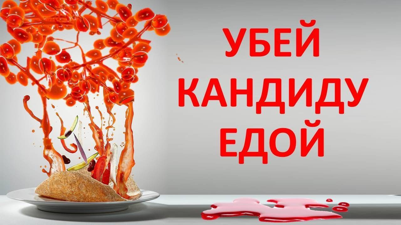 Противогрибковая анти-кандидная диета