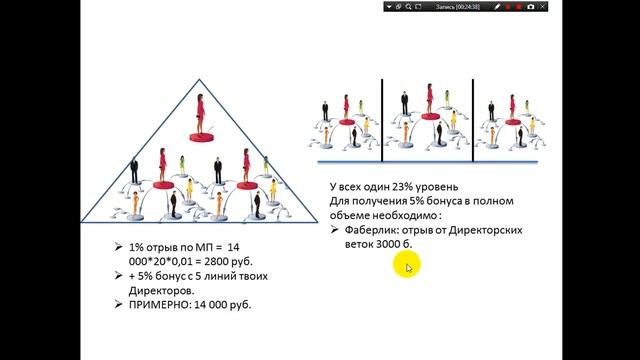 Почему директор Фаберлик ушла в ТианДе