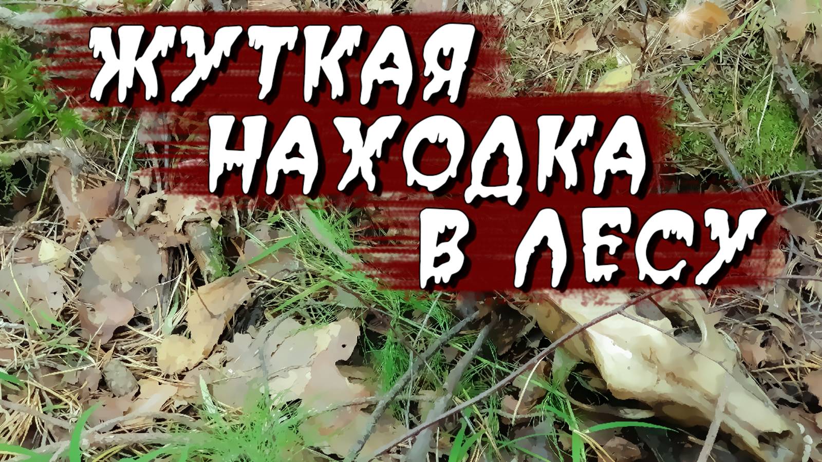 Жуткая находка в лесу | Пошёл в лес за грибами, а там...