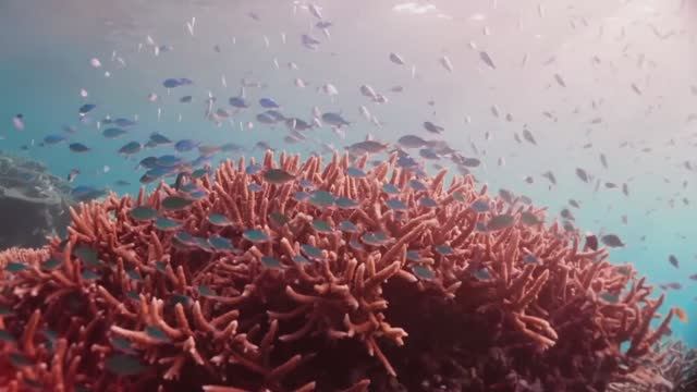 Звуки под водой. ASMR подводные звуки для сна и медитации 🌊