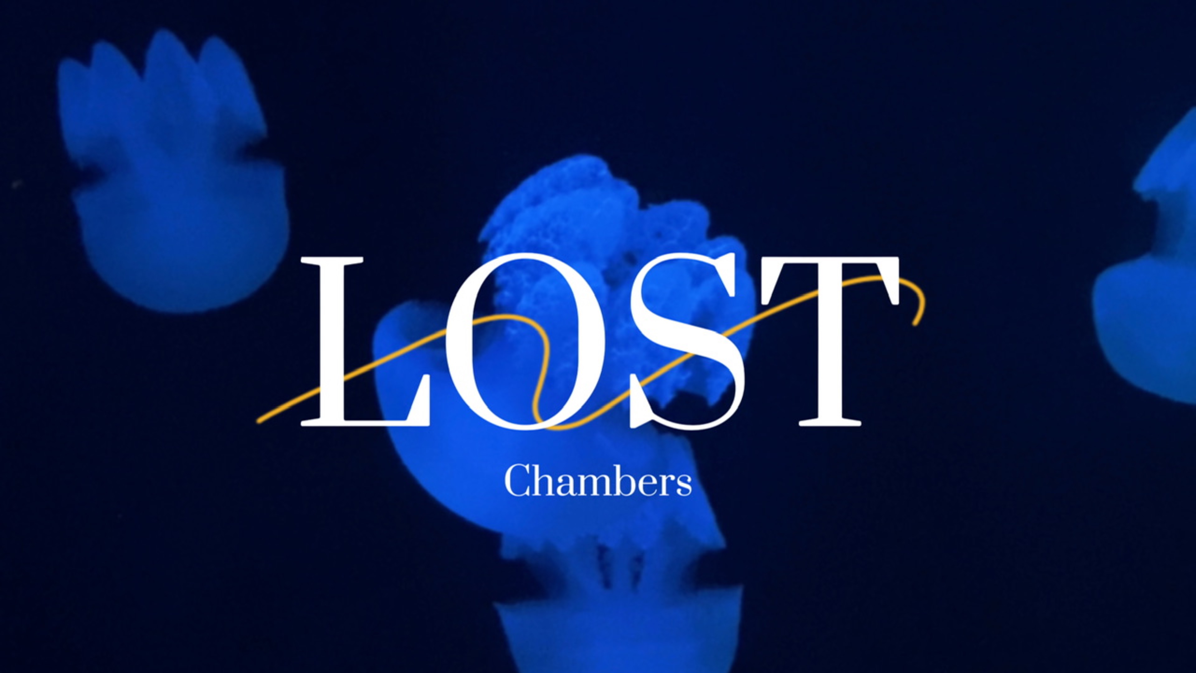 Дубай. Palm Jumeirah. аквариума Lost Chambers, в отеле Атлантис.
#дубай