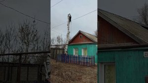 Спил дерева в Энгельсском районе специалистом/арбористом