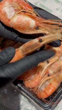 Креветки БОТАН 🦐

Размер 19/24 
Гигантская Креветка, очень вкусная.