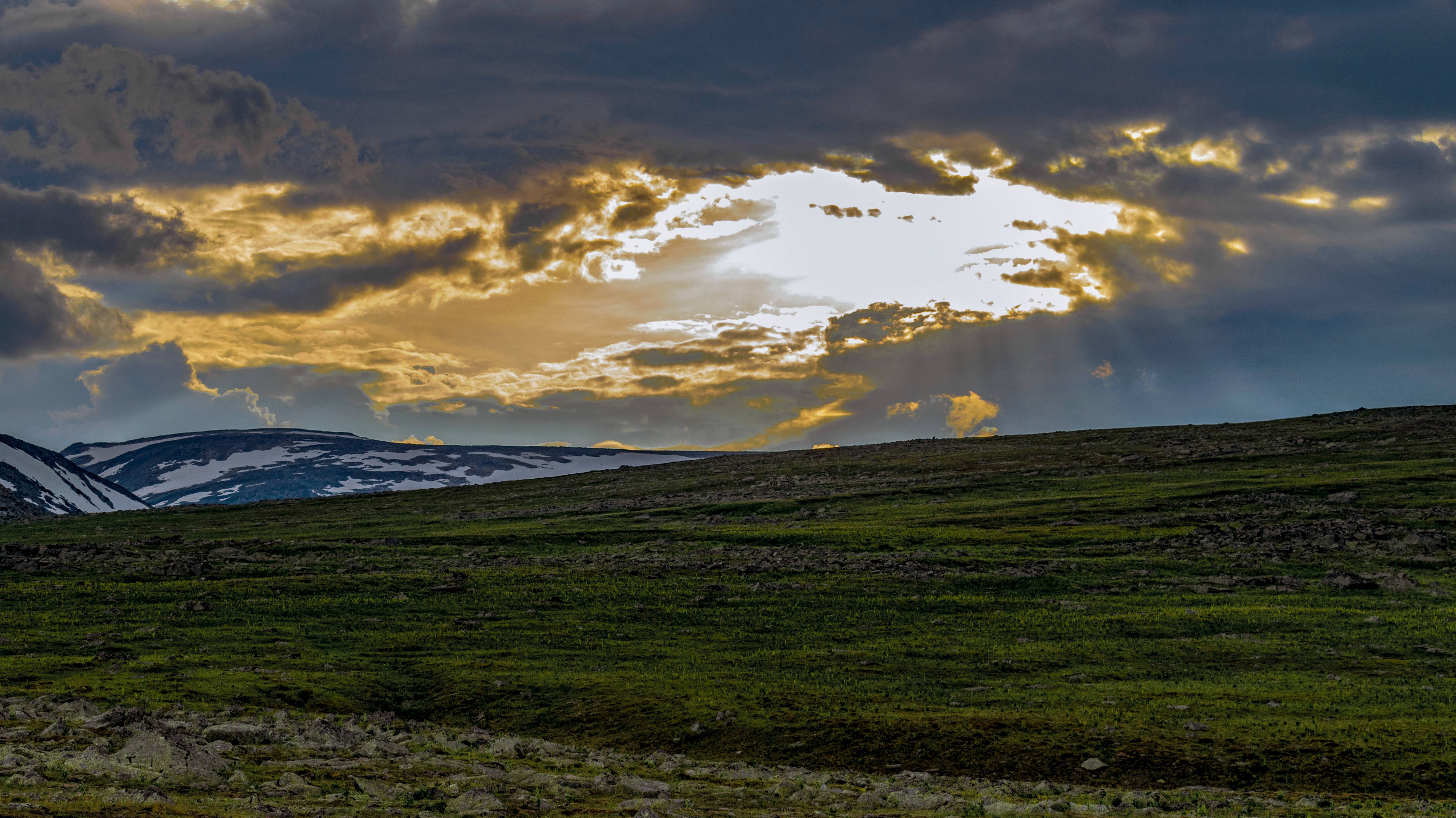 Весёлые носочки