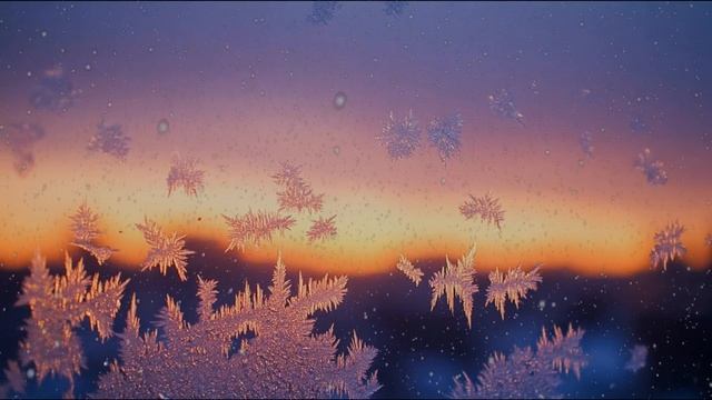 "Шиффер" - 06 Город