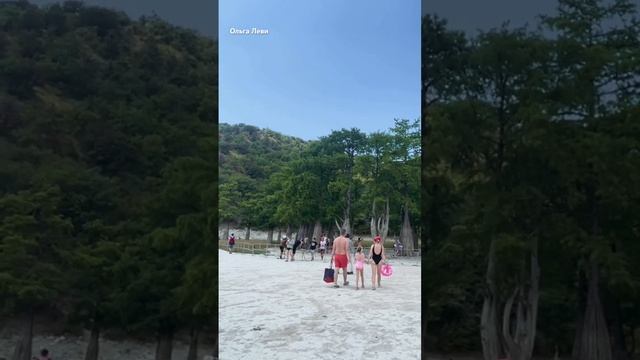 Красивое место в России - КИПАРИСОВОЕ ОЗЕРО Кипарисы летом без воды 03.08.2023 год #Сукко