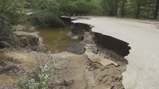 Попытка найти грибы после анамальных дождей в городе Тында в августе 2022 года