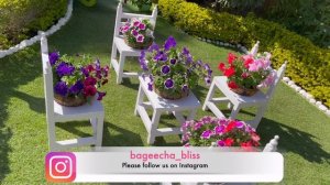 DIY | Chair Planter | Garden Decor | Best Ideas for garden decor in India 🇮🇳 | Bageecha Bliss