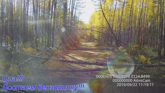 Осенний выезд на природу 2019. Прощание с летом.