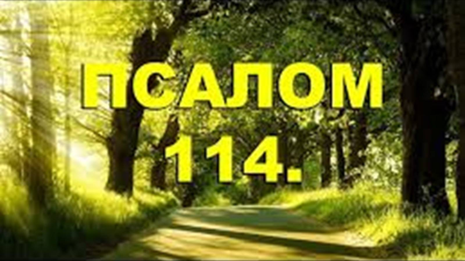 Тема: Радость о спасение (Псалом 114 гл.)