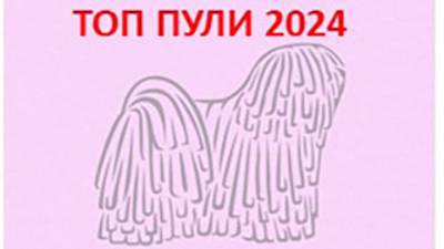 кобели
