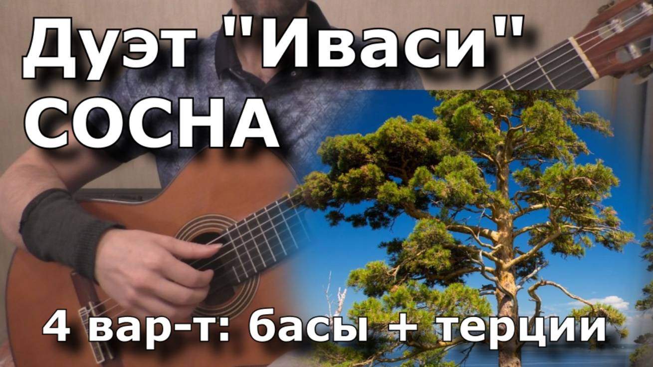 ИВАСИ - Сосна (4вар: басы + терции) - разбор и табы