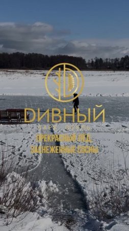 Каток Дивный