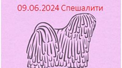 КОБЕЛИ _ MALES Класс юниоров         363. ALMOSH DUNA GYONGYE