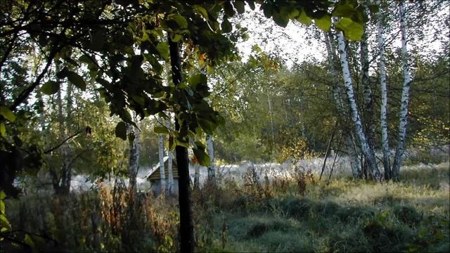 Иеромонах Роман. «Не омрачить бы ненароком совесть...»