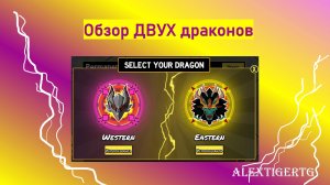 Обзор двух драконов (фрукт перм дракон)