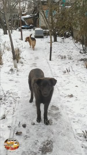 Так начиналось наше знакомство.