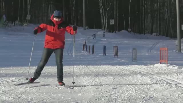 Зимняя прогулка на лыжах 19-01-2019