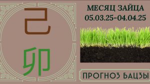 ПРОГНОЗ БАЦЗЫ. МАРТ 2025