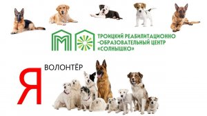Я волонтёр
