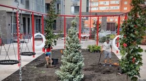 Реализация проекта город Пенза