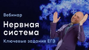 Нервная система, вебинар