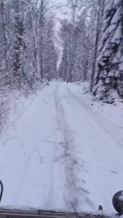 Катит хозяйка