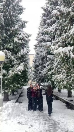 Студенты радуются снегу