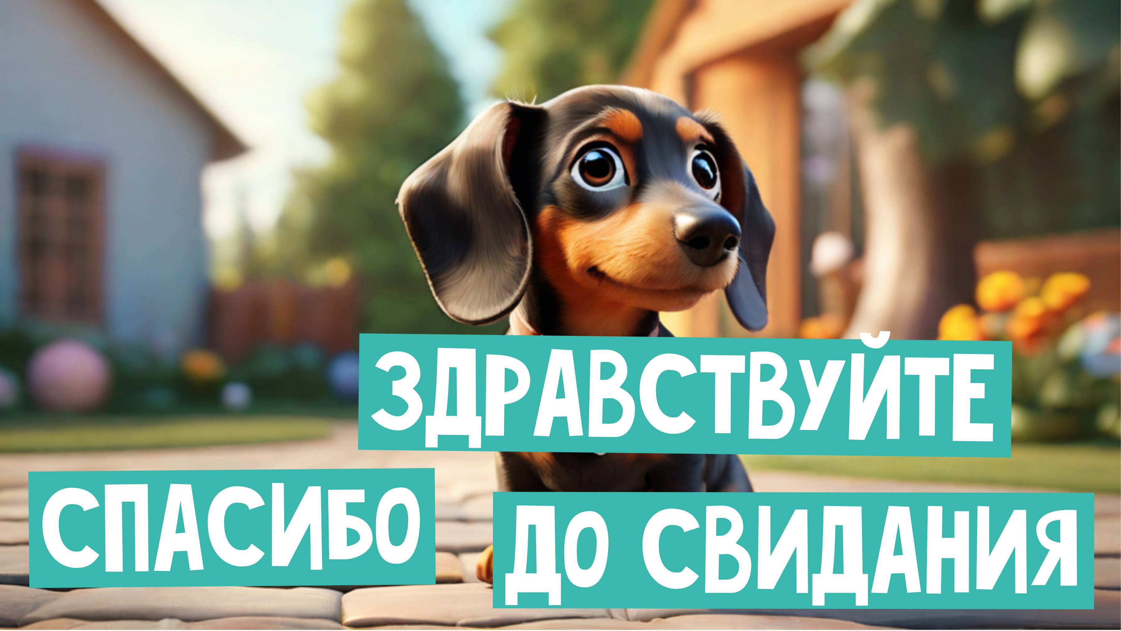 3. 🐶Здравствуйте, Спасибо и До Свидания!🐕