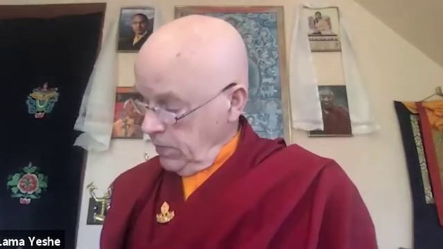 Green Tara Part 3 - смотреть видео онлайн от «Animal Encounter ...