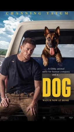 What Do You Think Of This Movie? #433
