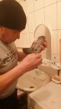 Первая помощь птицам