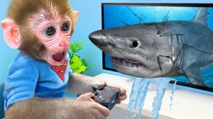 Малыш Чичи играет в Hungry Shark и кушает арбуз|Малыш Чичи