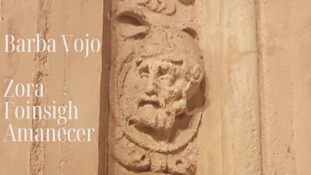 Барба Војо - Зора (Foinsigh, Amanecer)