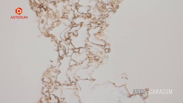 Кварцевый камень Asterum Caracum (Каракум)