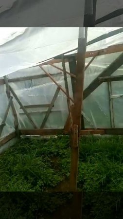 думаю как лук продать😓