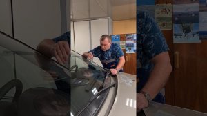 Что делать, если увидели скол или трещину на автомобильном стекле