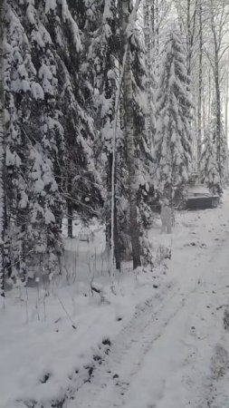 Зима
