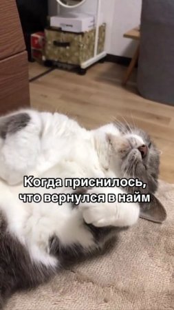 Знаете, что заметила, что многие люди при переходе из найма в своё дело думают