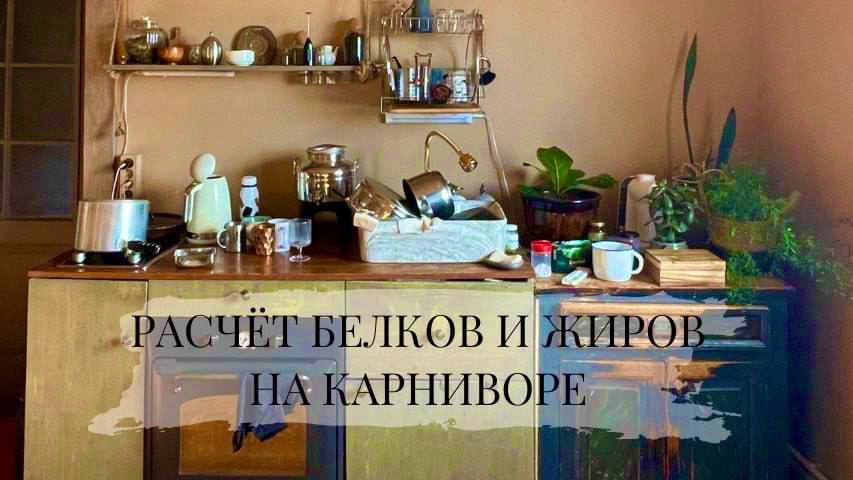 РАСЧЕТ БЕЛКОВ И ЖИРОВ НА КАРНИВОРЕ. Увеличенная норма для устранения дефицита белка.