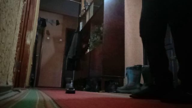 Влог с машинками