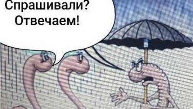 Если рядом с тобою МАТ извергает будущая МАТЬ?