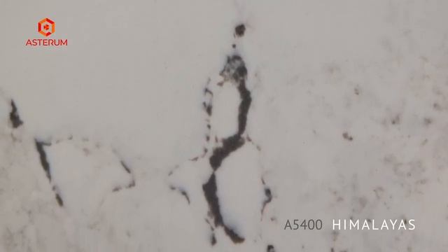 Кварцевый камень Asterum Himalayas (Гималаи)