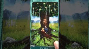 Universal Celtic Tarot