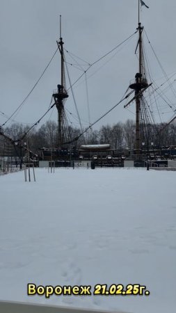 Воронеж 21.02.25г#short