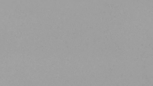 BELENCO Columbia Grey 8250