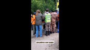 Порода собак Ненецкая оленегонная лайка
