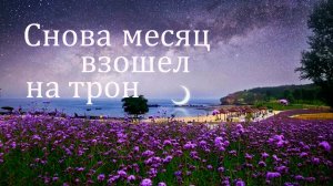 Снова месяц взошел на трон (Ю. Антонов) Песни 70-80х Вадим Ибрянов